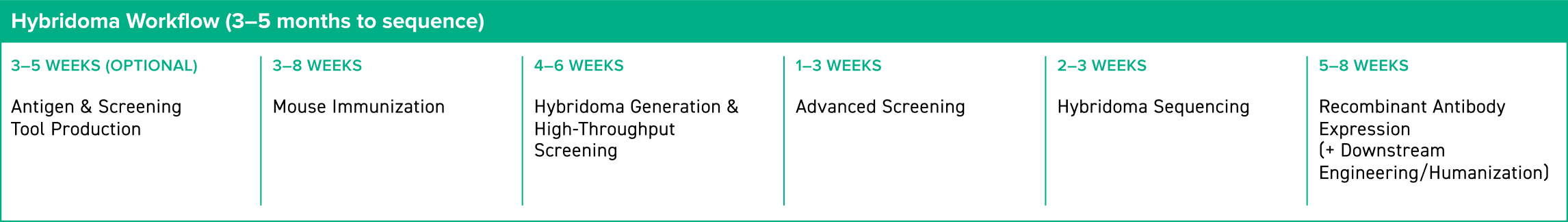 Hybridoma Screening | Twist Bioscience
